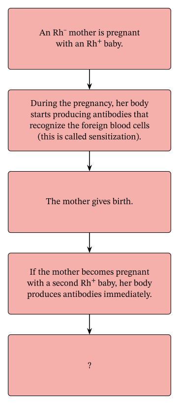 Lesson: Blood Groups and Rhesus Factors | Nagwa