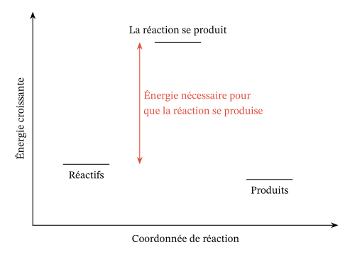 Leçon : Catalyseurs | Nagwa