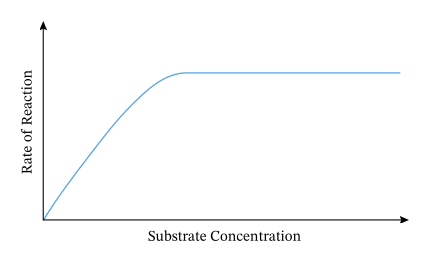 Enzyme Substrate Concentration